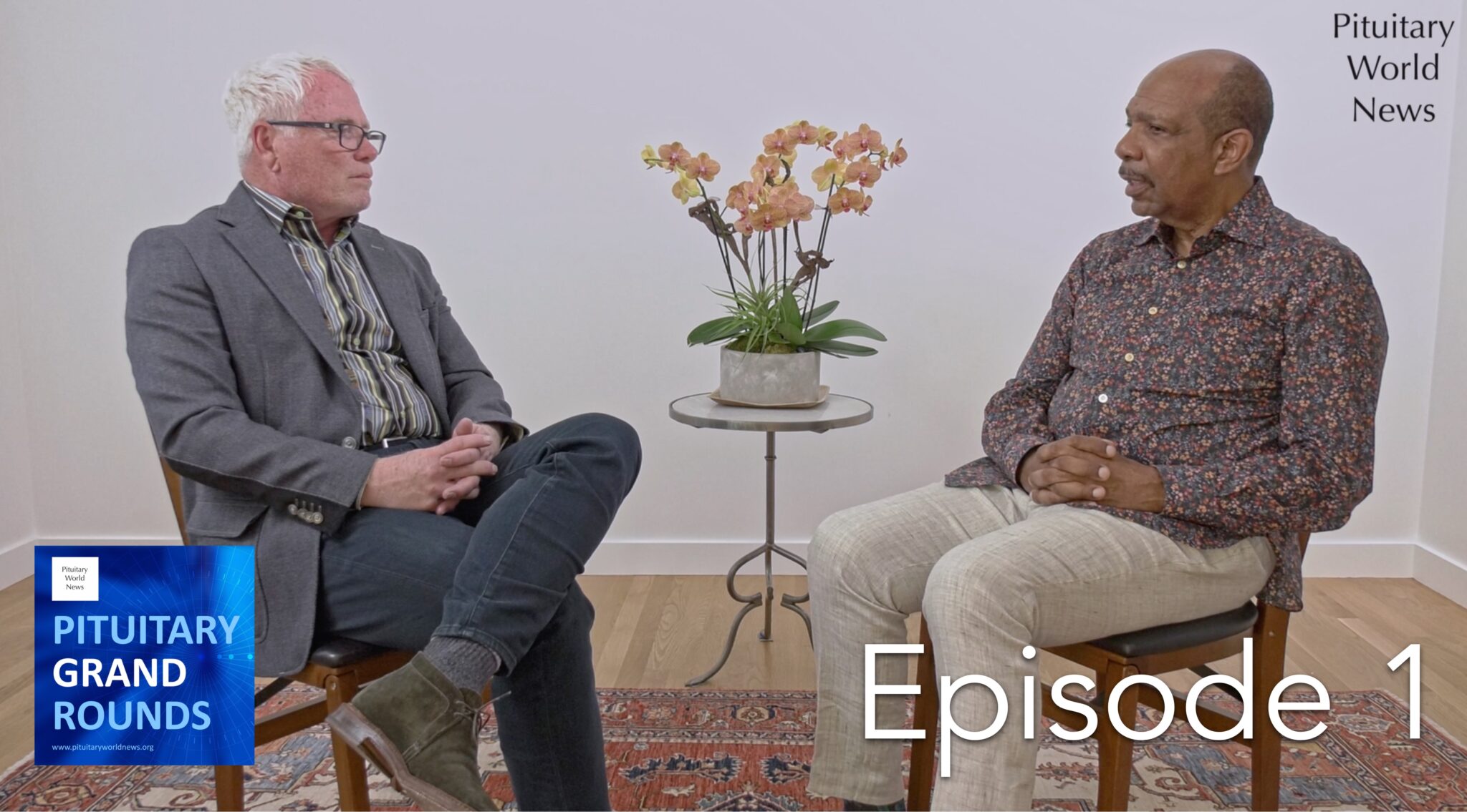 Pituitary Grand Rounds, episode 1: nonfunctioning pituitary adenoma ...